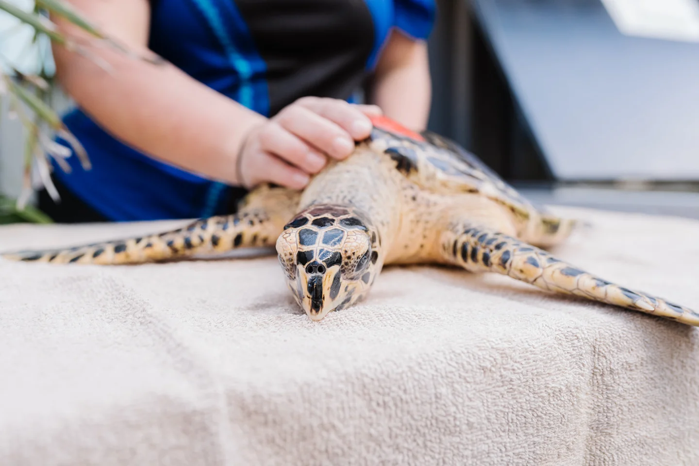 Functions & Events - Coffs Coast Wildlife Sanctuary