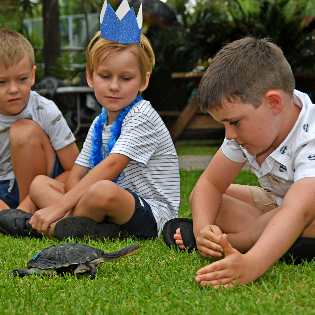 Birthday Parties - Coffs Coast Wildlife Sanctuary
